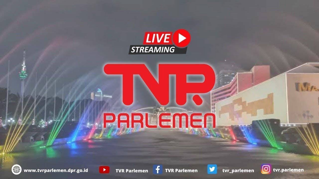 STREAMING » TVR PARLEMEN